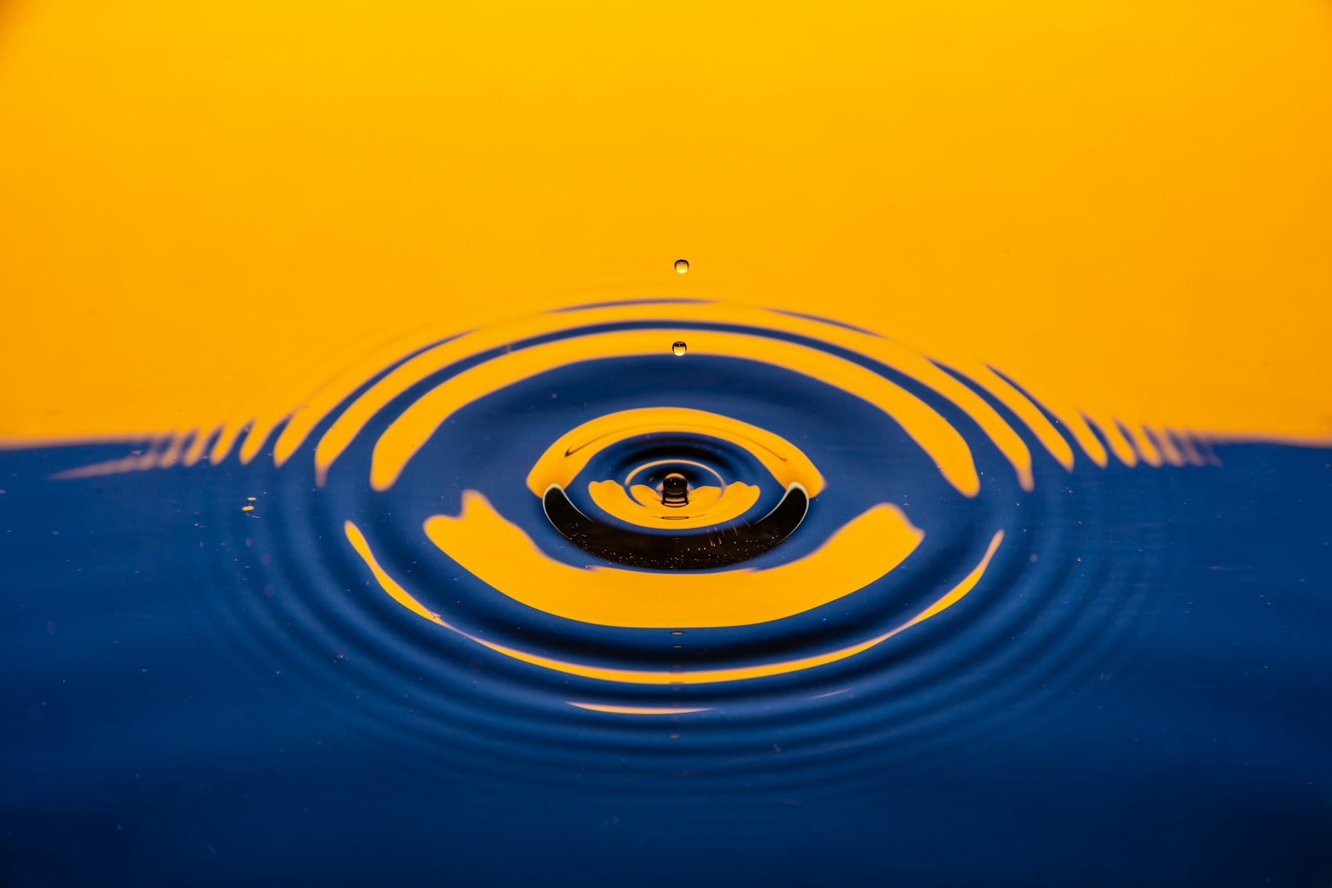 How to Properly Use Evidence and Arguments in an Essay - Write My Essays